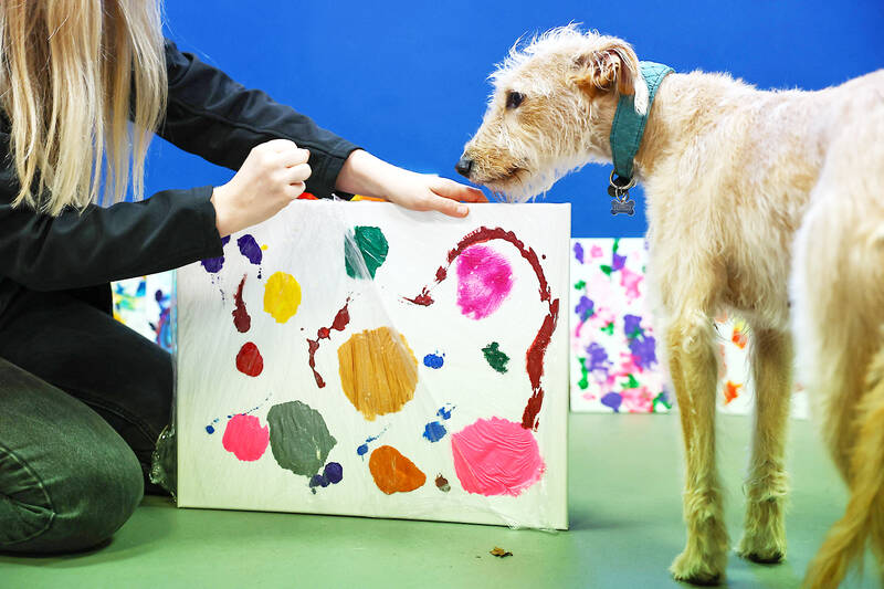 Strays take up painting for UK charity - Taipei Times