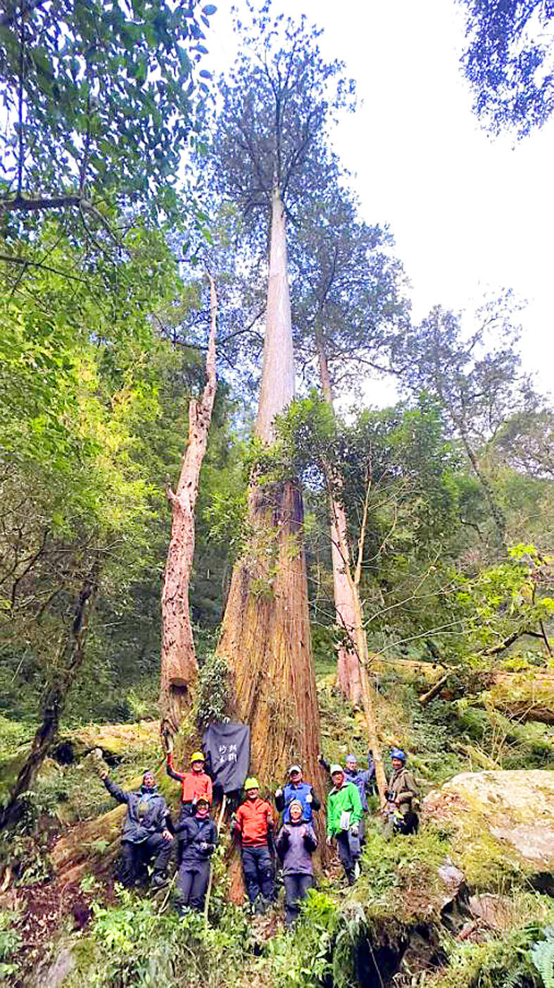 Twenty-one ‘superlative’ trees disappear - Taipei Times