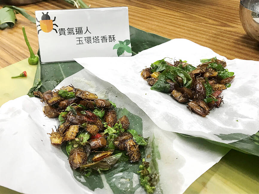 Agency offering invasive stink bug cookery lessons - Taipei Times