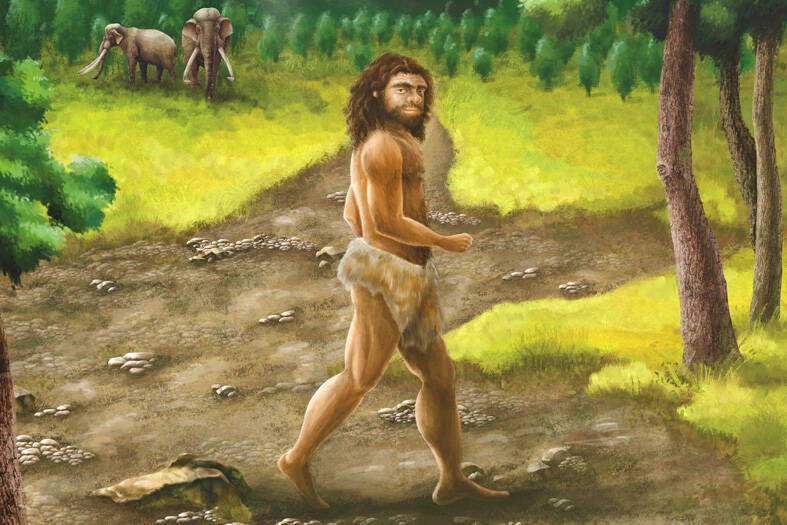 Jaw fossil backs theory of ancient humans’ range - Taipei Times