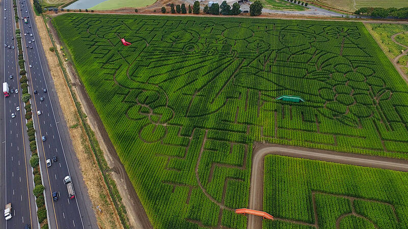Maze for farmers - Taipei Times