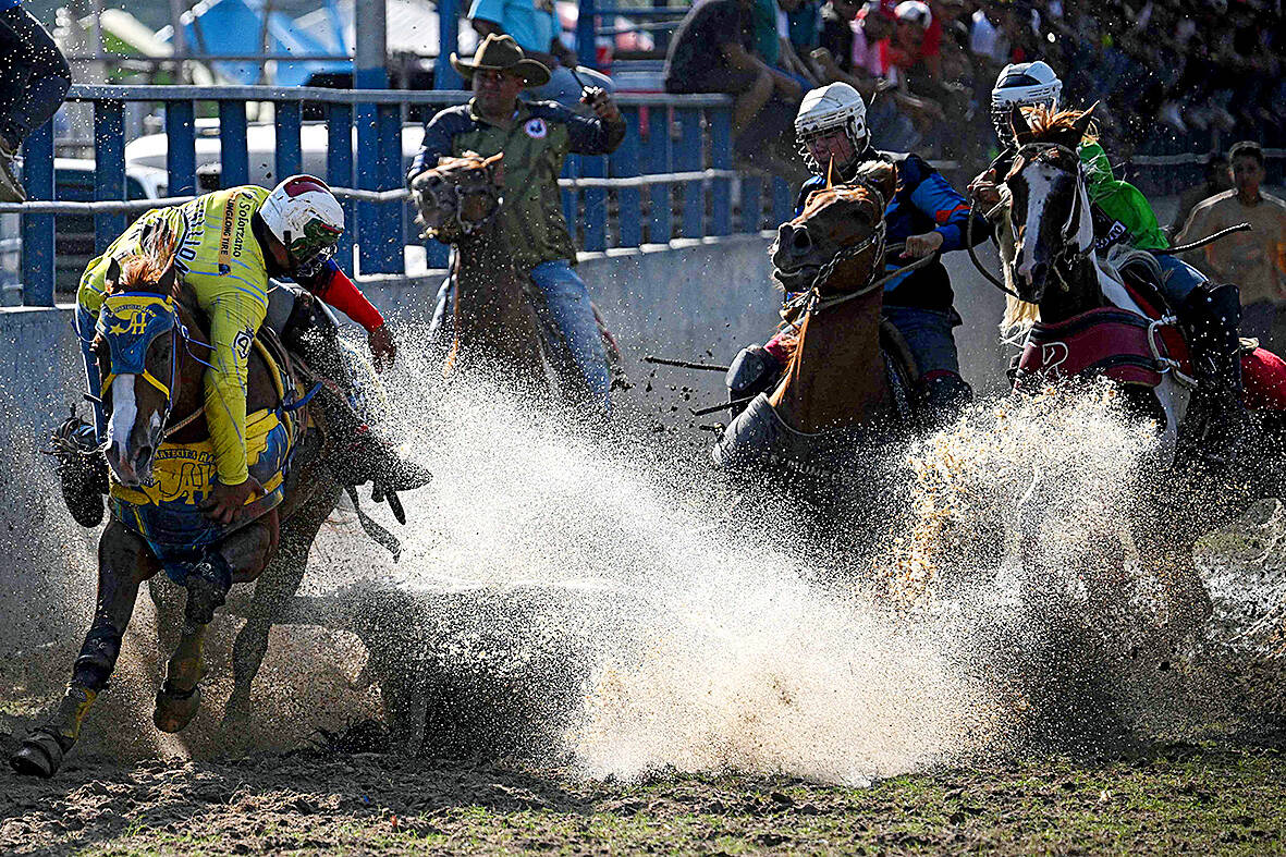 Grabbing the bull by the tail: Venezuela’s cowboy sport - Taipei Times