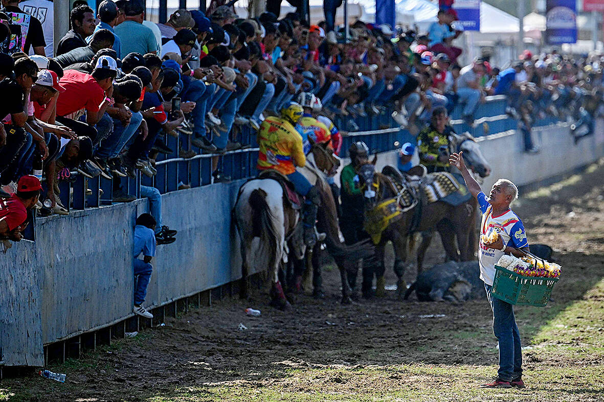 Grabbing the bull by the tail: Venezuela’s cowboy sport - Taipei Times